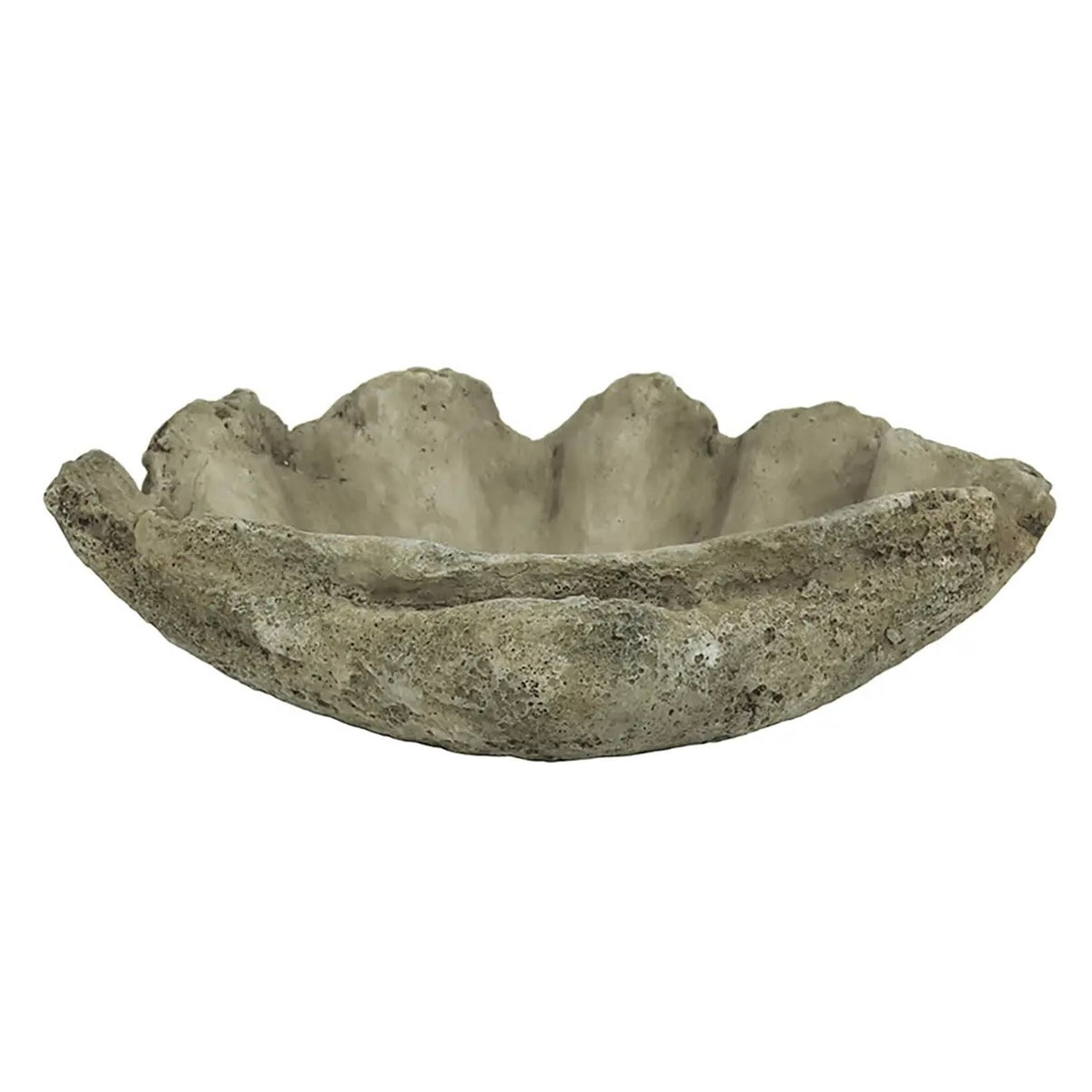 Concrete Clam Shell – Tumbleweed & Dandelion LLC