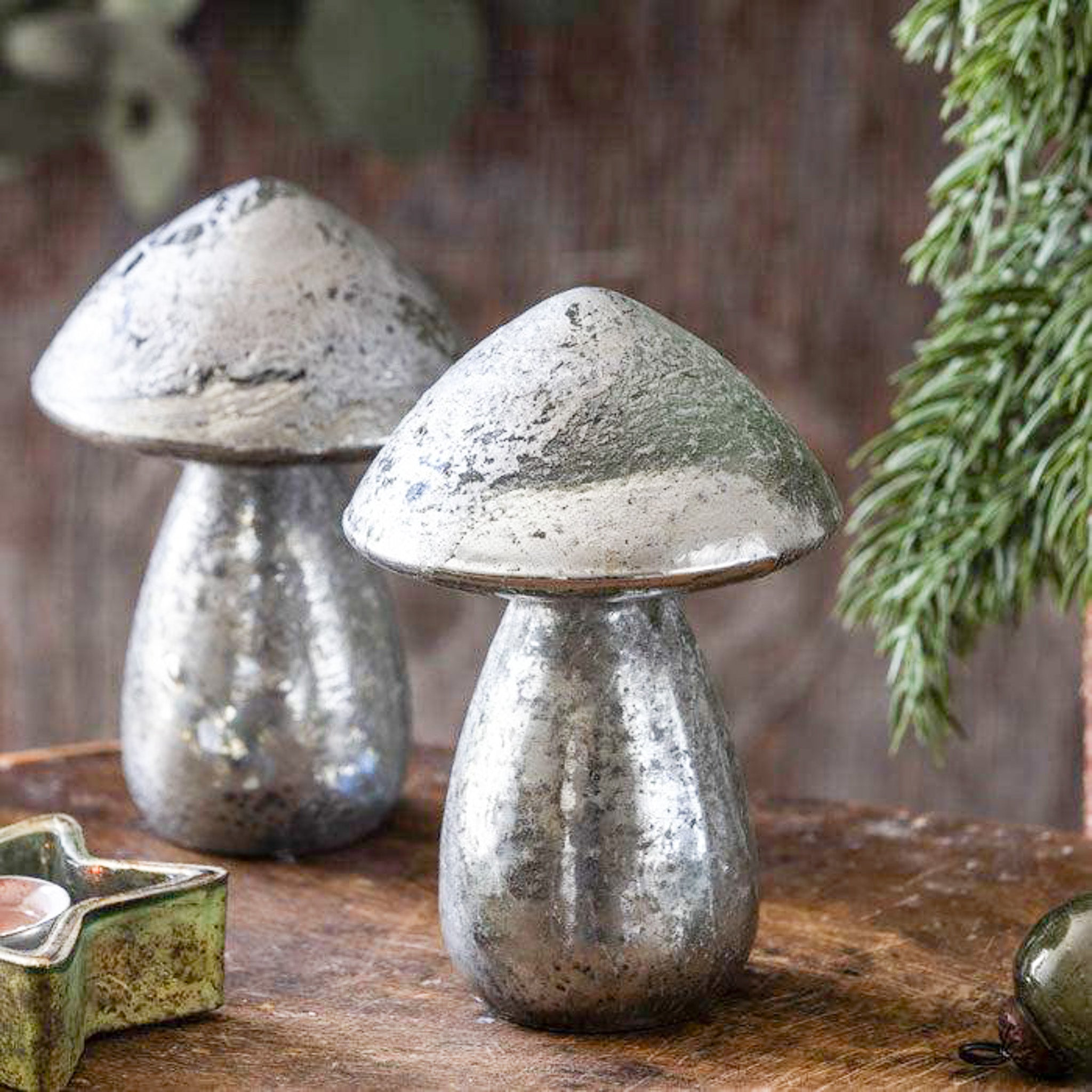 Boral Silver Mushroom – Tumbleweed & Dandelion LLC